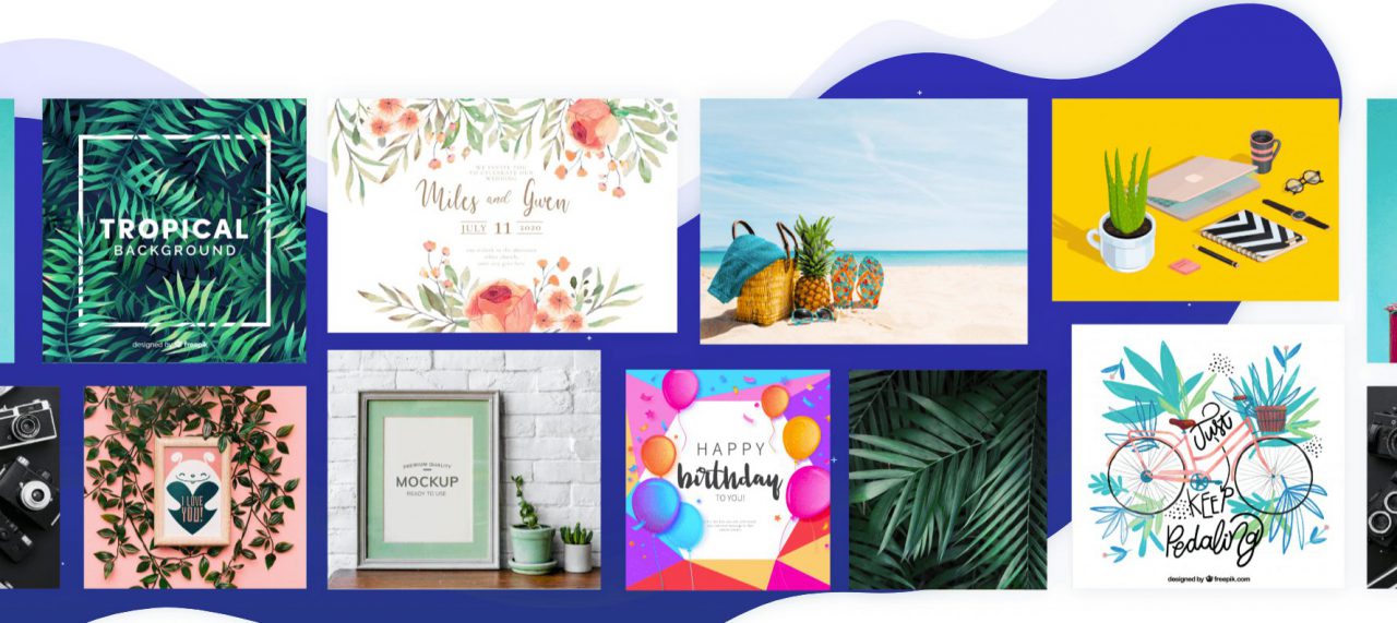 Bản quyền FreePik (Essential, Premium) | Trung tâm trợ giúp - PACISOFT ...