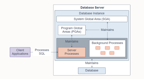 Tổng quan về kiến trúc cơ sở dữ liệu Oracle